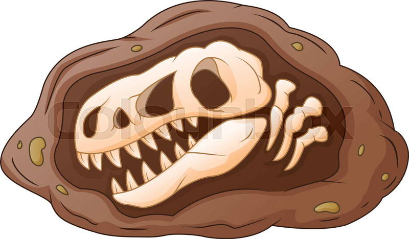 Vector illustration of Cartoon head dinosaur fossil | Colourbox Vector illustration of Cartoon head dinosaur fossil | Colourbox