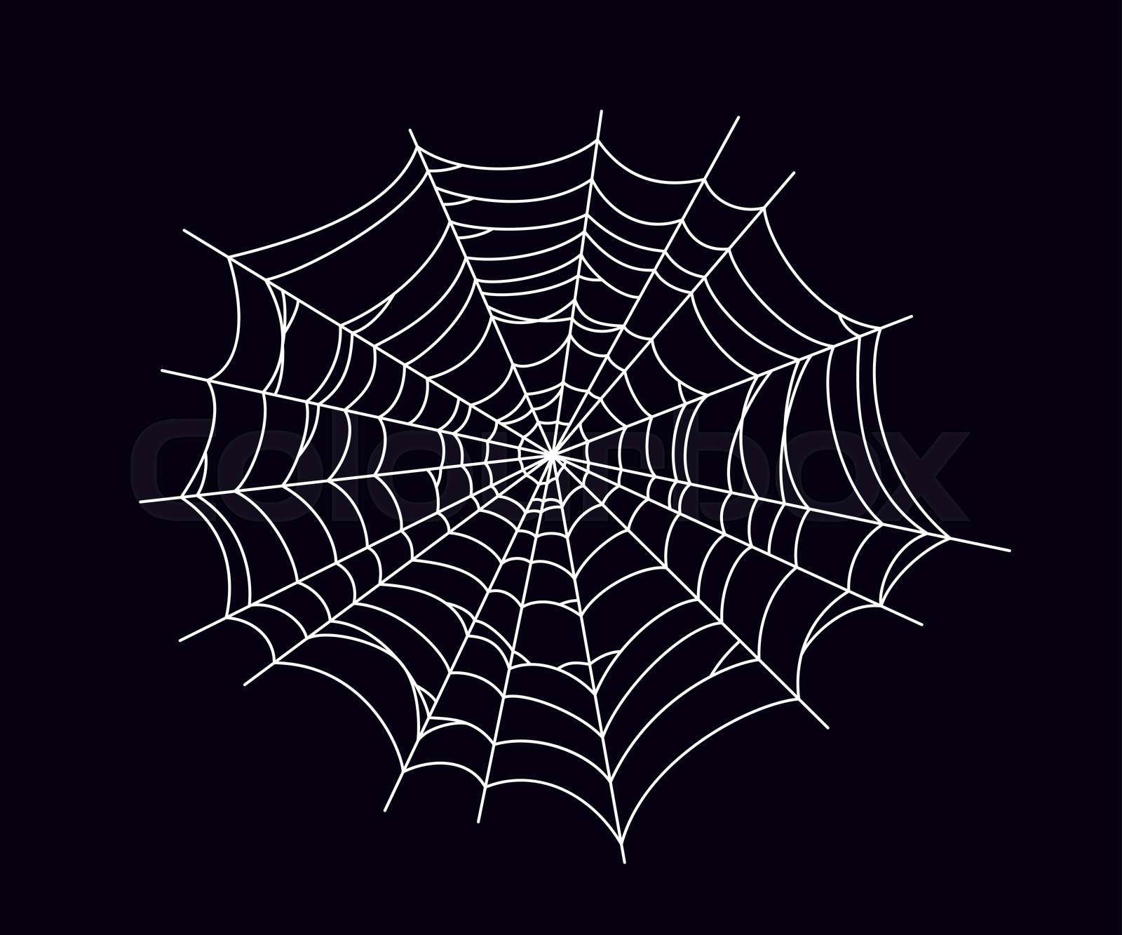 Creepy spider web store