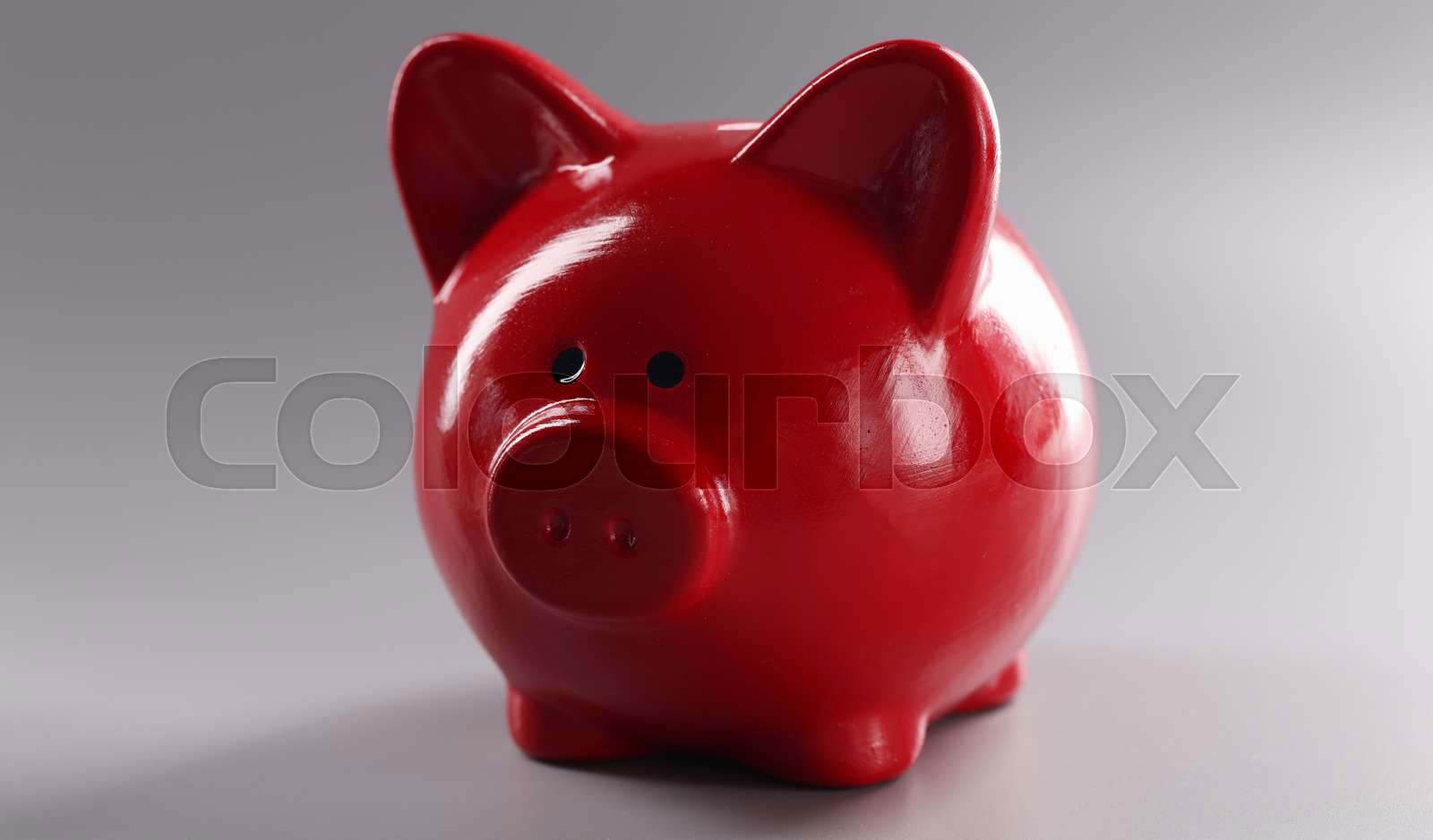 Gray piggy bank store