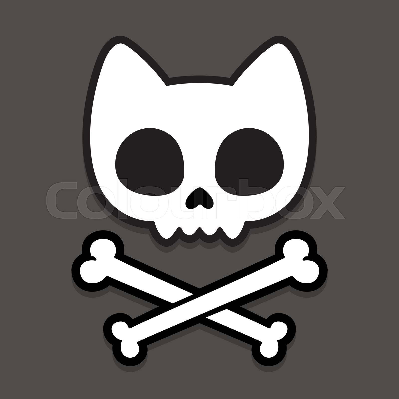 Cat skull drawing store