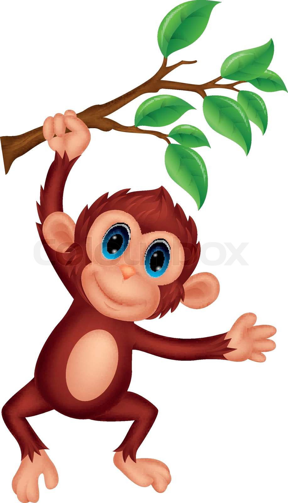 Monkey pictures cartoon store